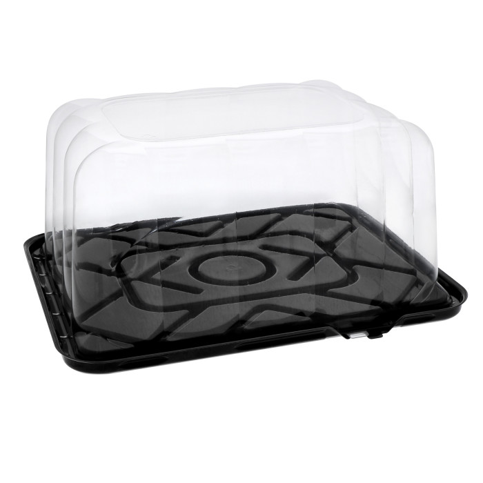 rectangle cake box plastic