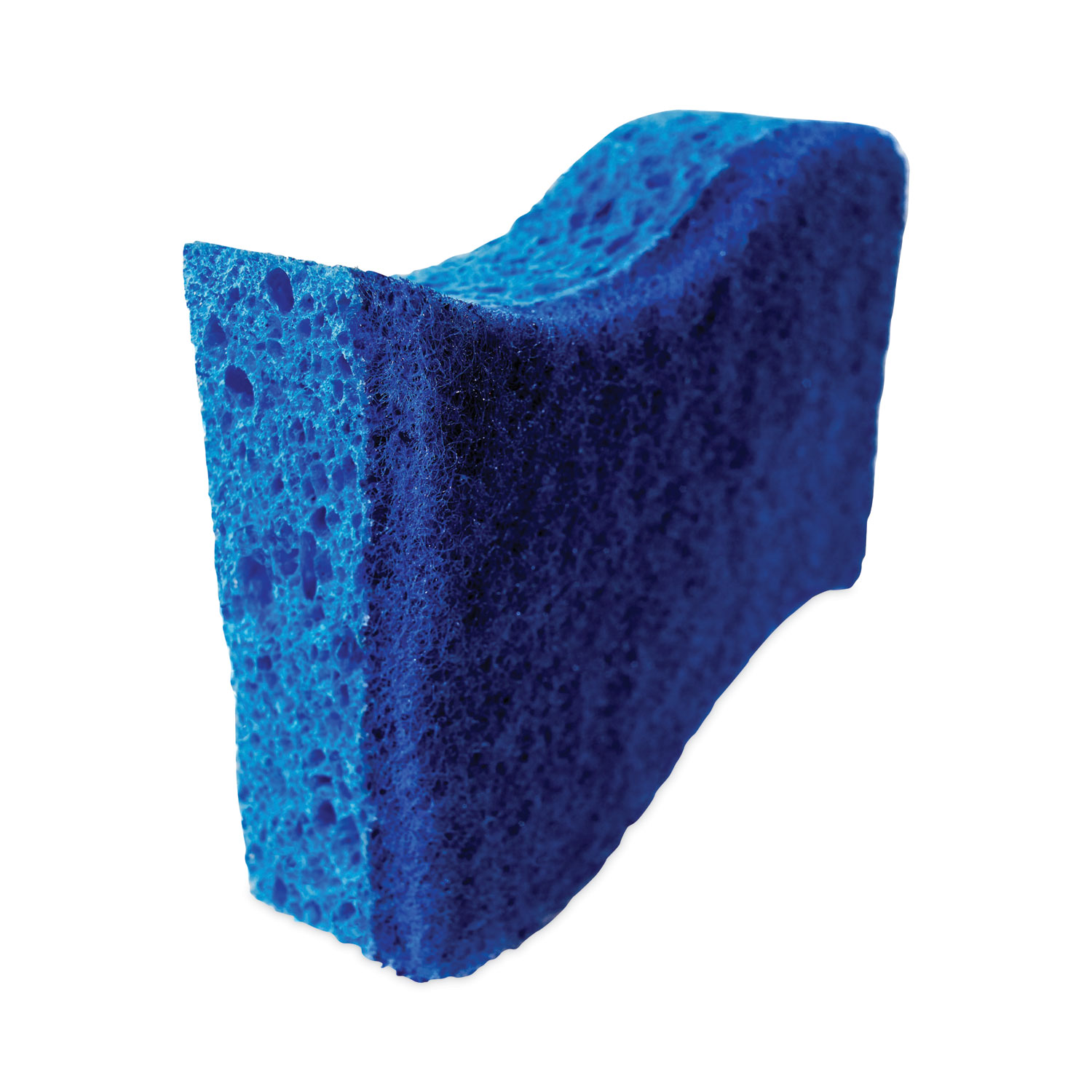 sponge blue